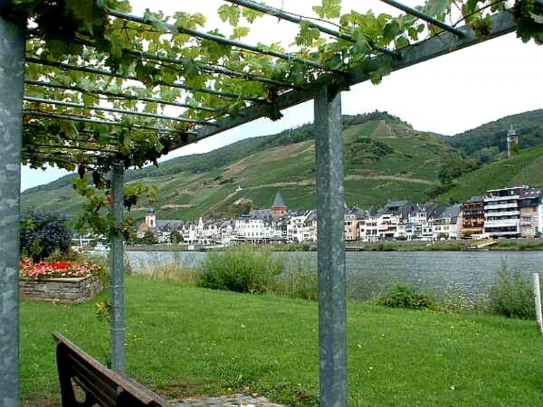 Construire Une Treille Pour La Vigne Ma Passion Du Verger