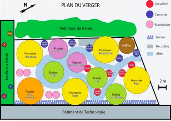 Créer un verger familial | Ma passion du verger