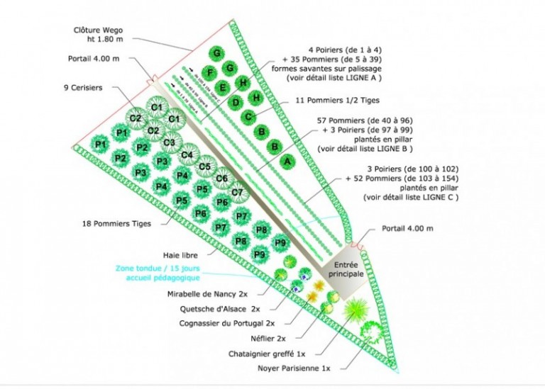 Créer un verger familial | Ma passion du verger