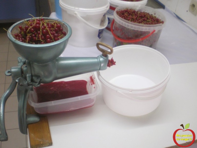 Faire du vin de groseille | Ma passion du verger