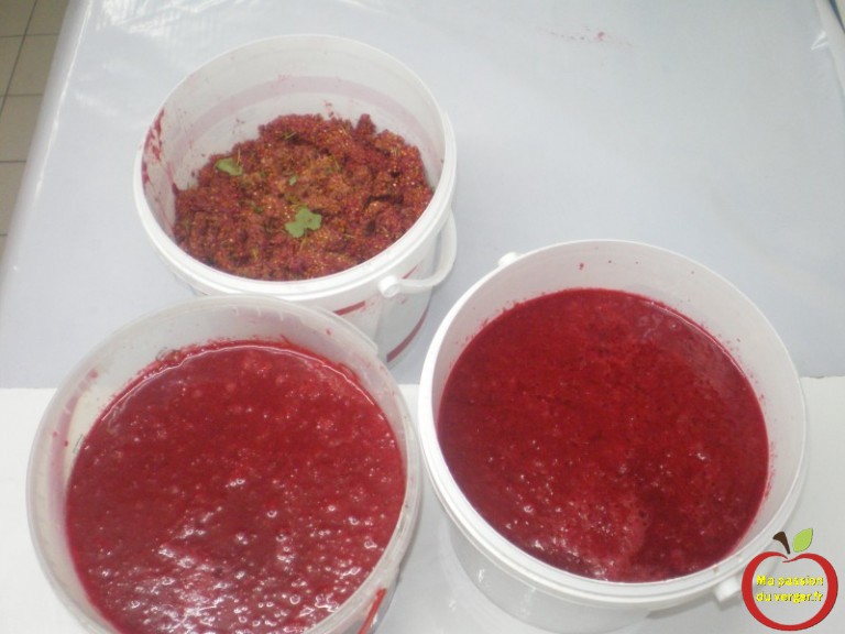 Faire du vin de groseille | Ma passion du verger