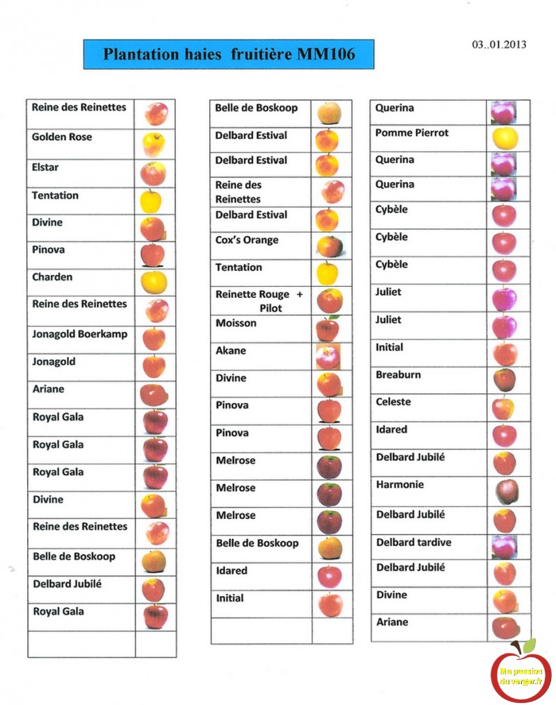 Plans et variétés | Ma passion du verger