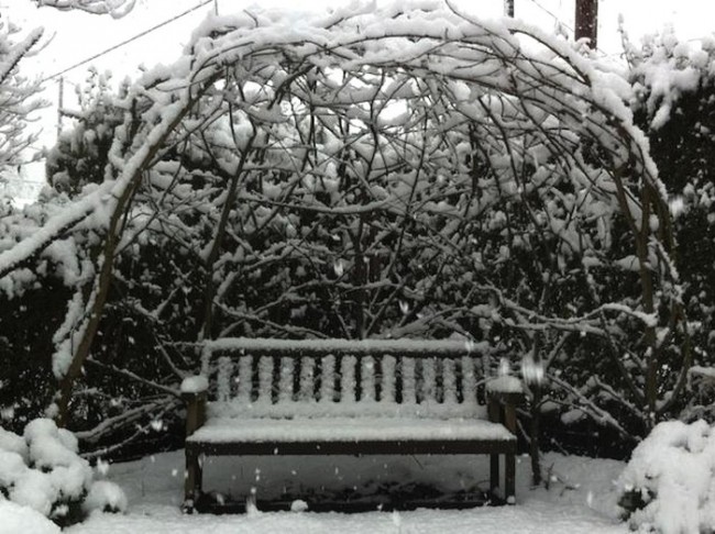 640_espalier-apple-arbor-from-myrubberboots-com- | Ma passion du verger