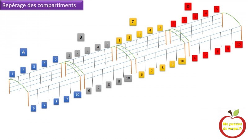 Mes nouvelles formes fruitières | Ma passion du verger