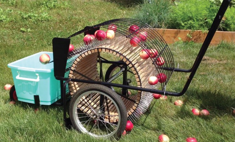 La récolte mécanique des fruits. | Ma passion du verger
