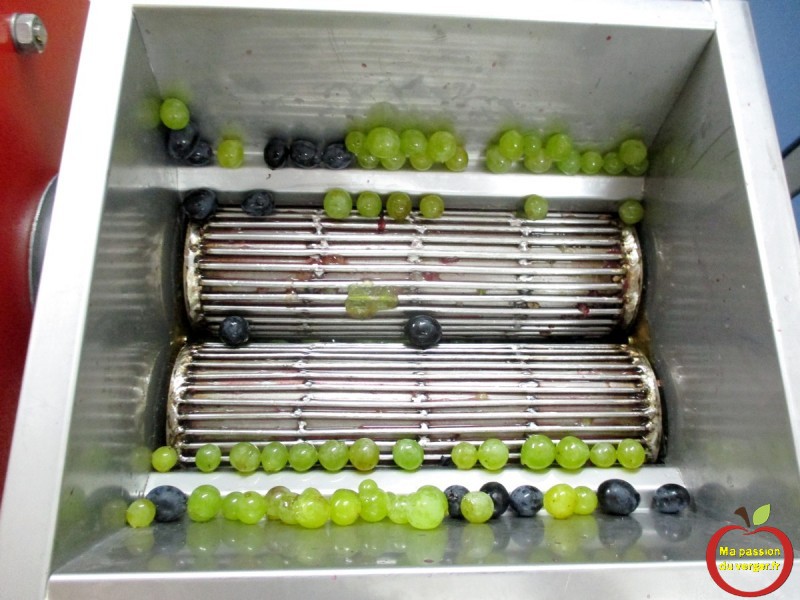 Comment faire un bon jus de raisin | Ma passion du verger