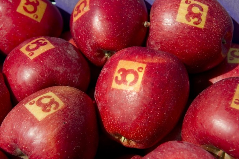 Le marquage des pommes | Ma passion du verger