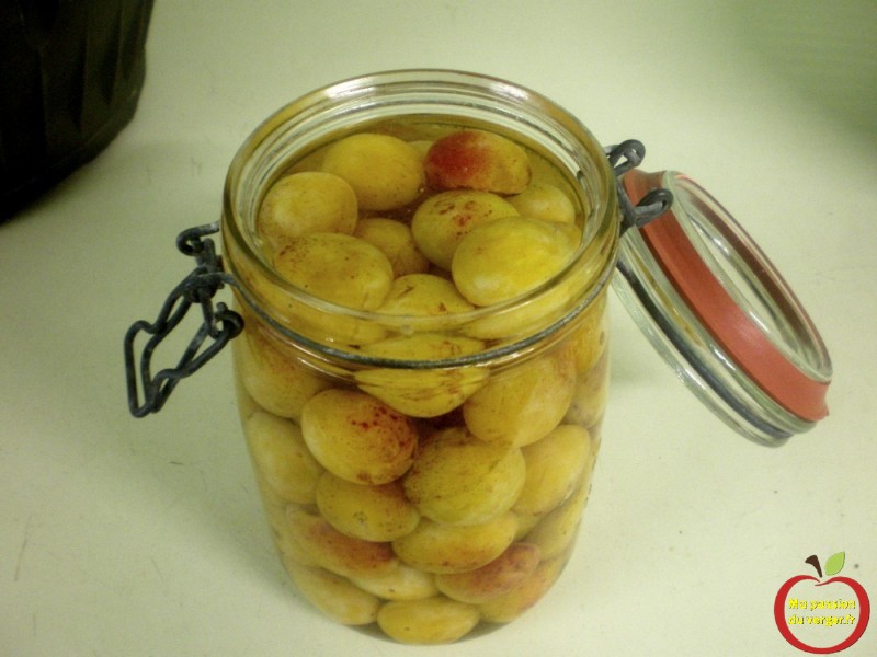 Recette De Liqueur De Mirabelle