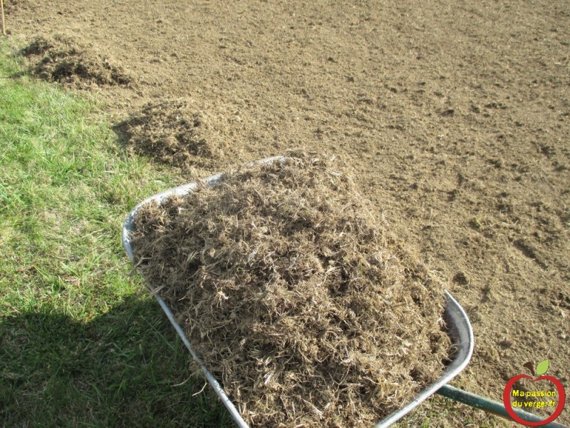 Refaire son gazon ou sa pelouse | Ma passion du verger