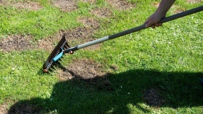 Refaire son gazon ou sa pelouse | Ma passion du verger