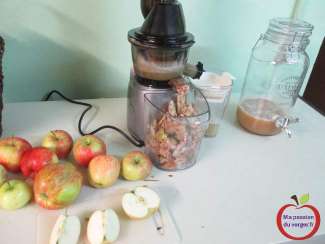 Faire un jus de fruits frais maison | Ma passion du verger