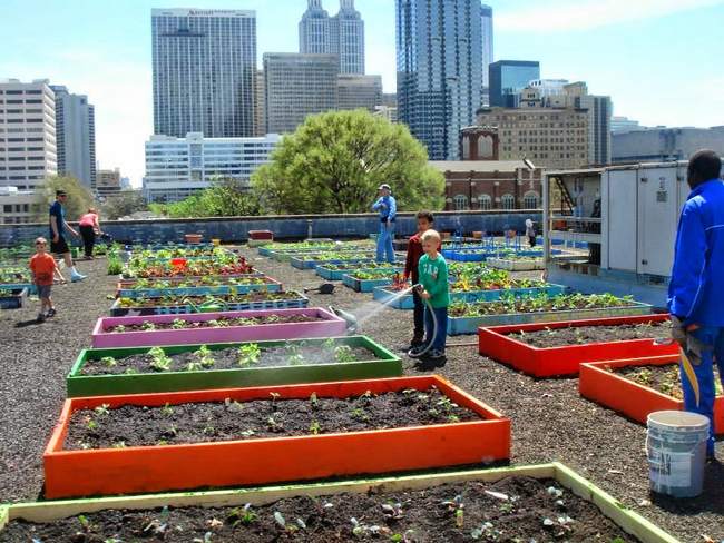 Bacs potager et jardinières en alu et acier | Ma passion du verger