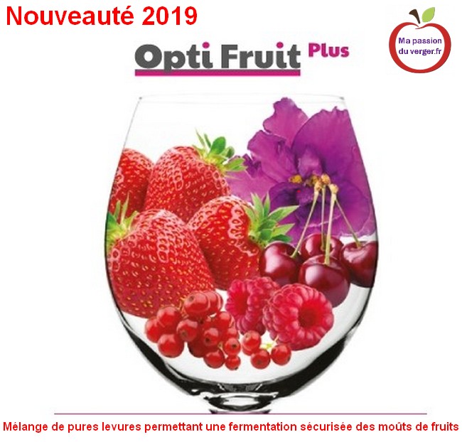 Faire l’eau-de-vie de pomme | Ma passion du verger